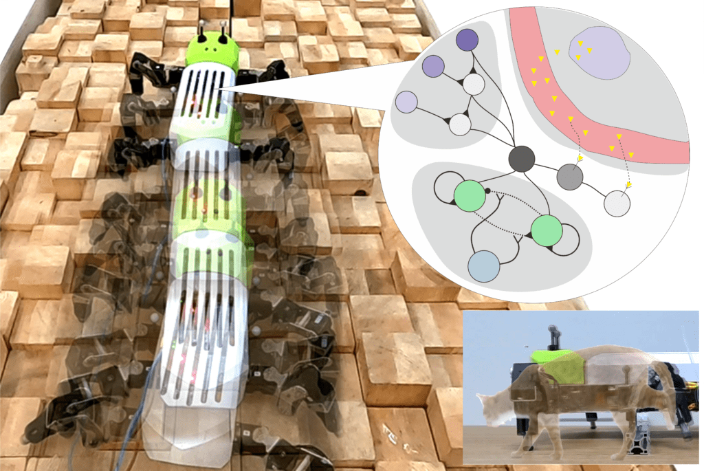 BIO-INSPIRED ROBOTICS – BRAIN VISTEC
