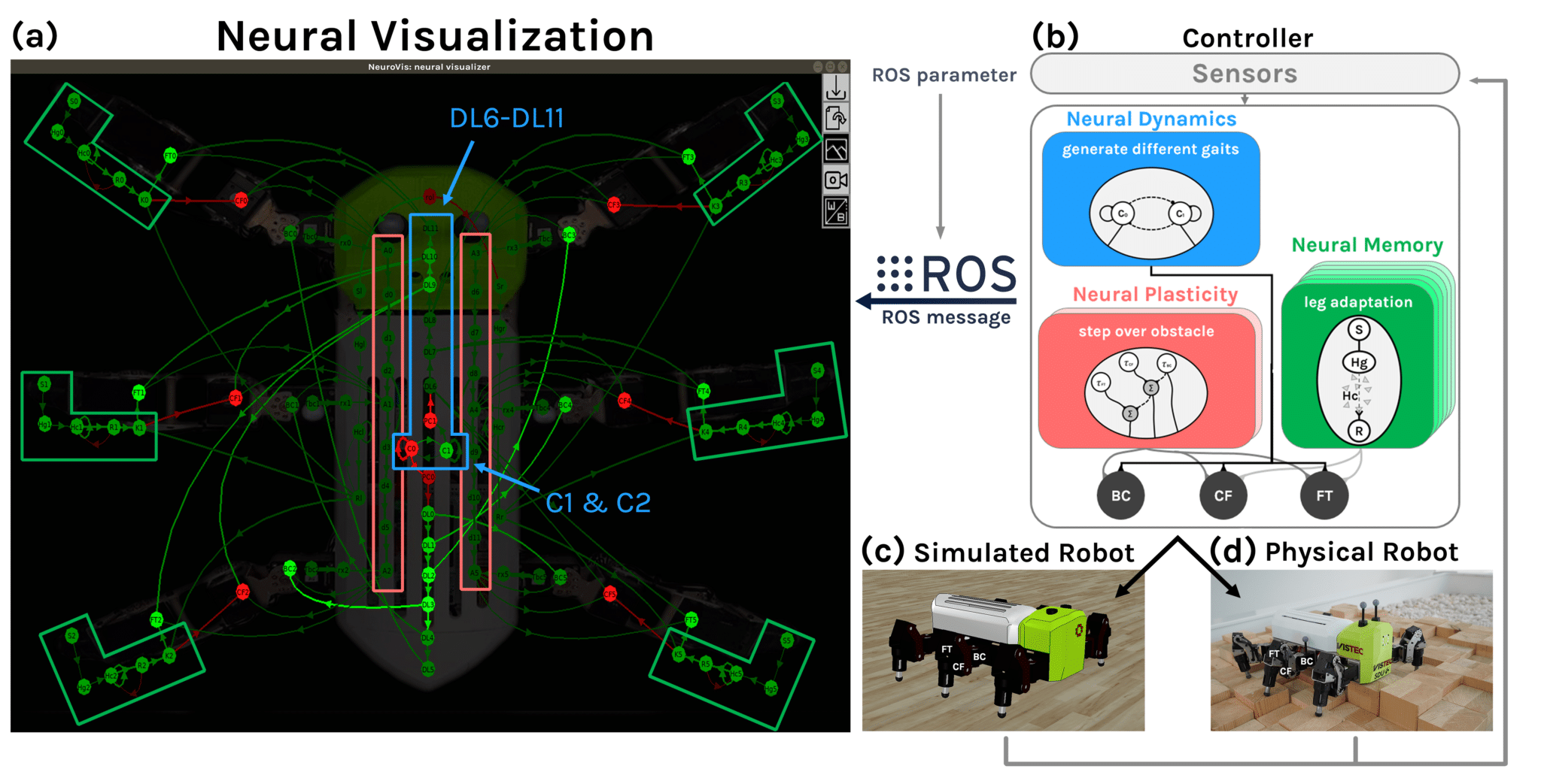 NEUROVIS – BRAIN VISTEC