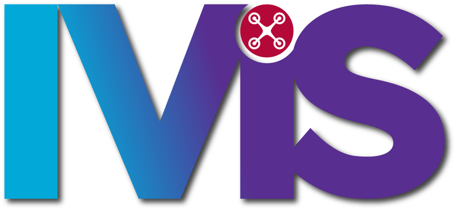 IViS Project – BRAIN VISTEC