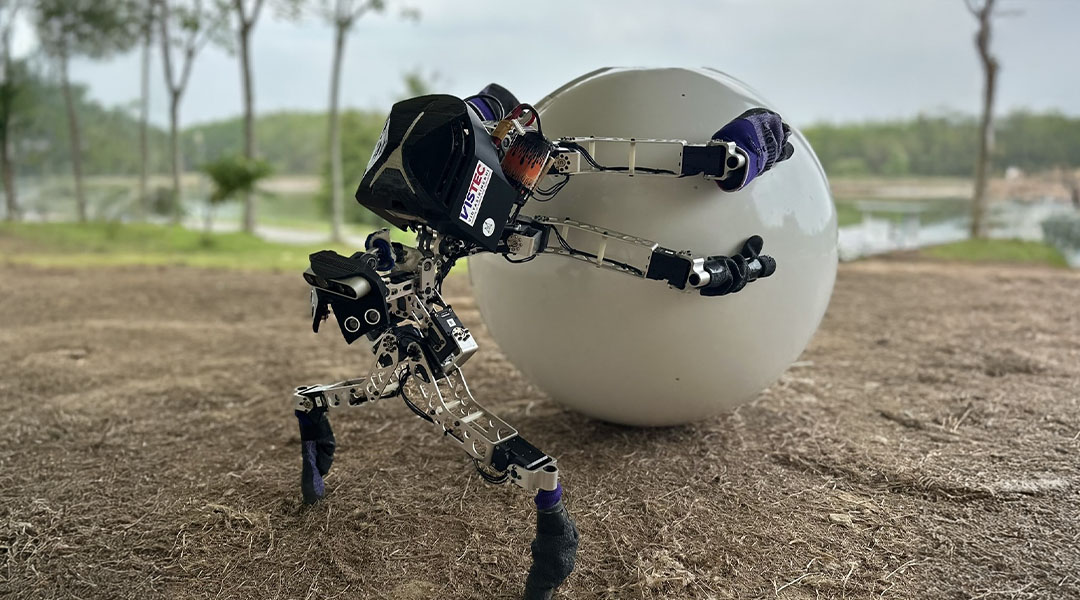 Dung Beetle-Inspired Robot Published in Advanced Science, Receives ...